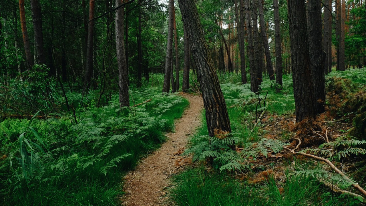 Milch & Moos · Vom Wandern und vom guten Essen