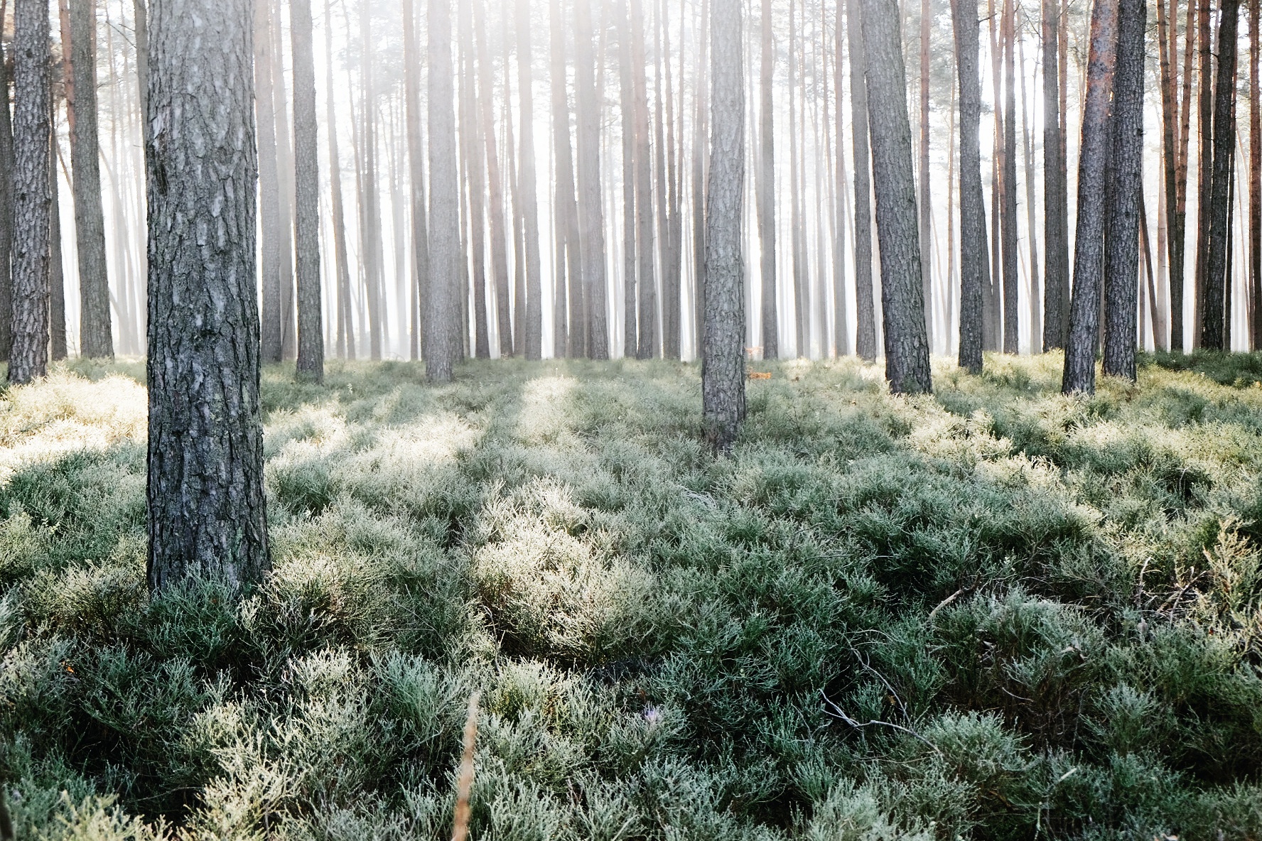 Kulinarische Wanderung zum Gut Temmen · Uckermark