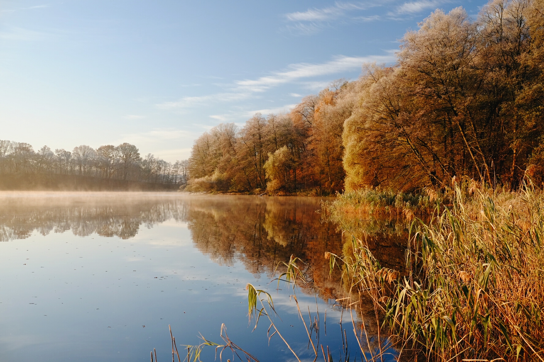 Milch & Moos · Vom Wandern und vom guten Essen · Brandenburg, Berlin ...
