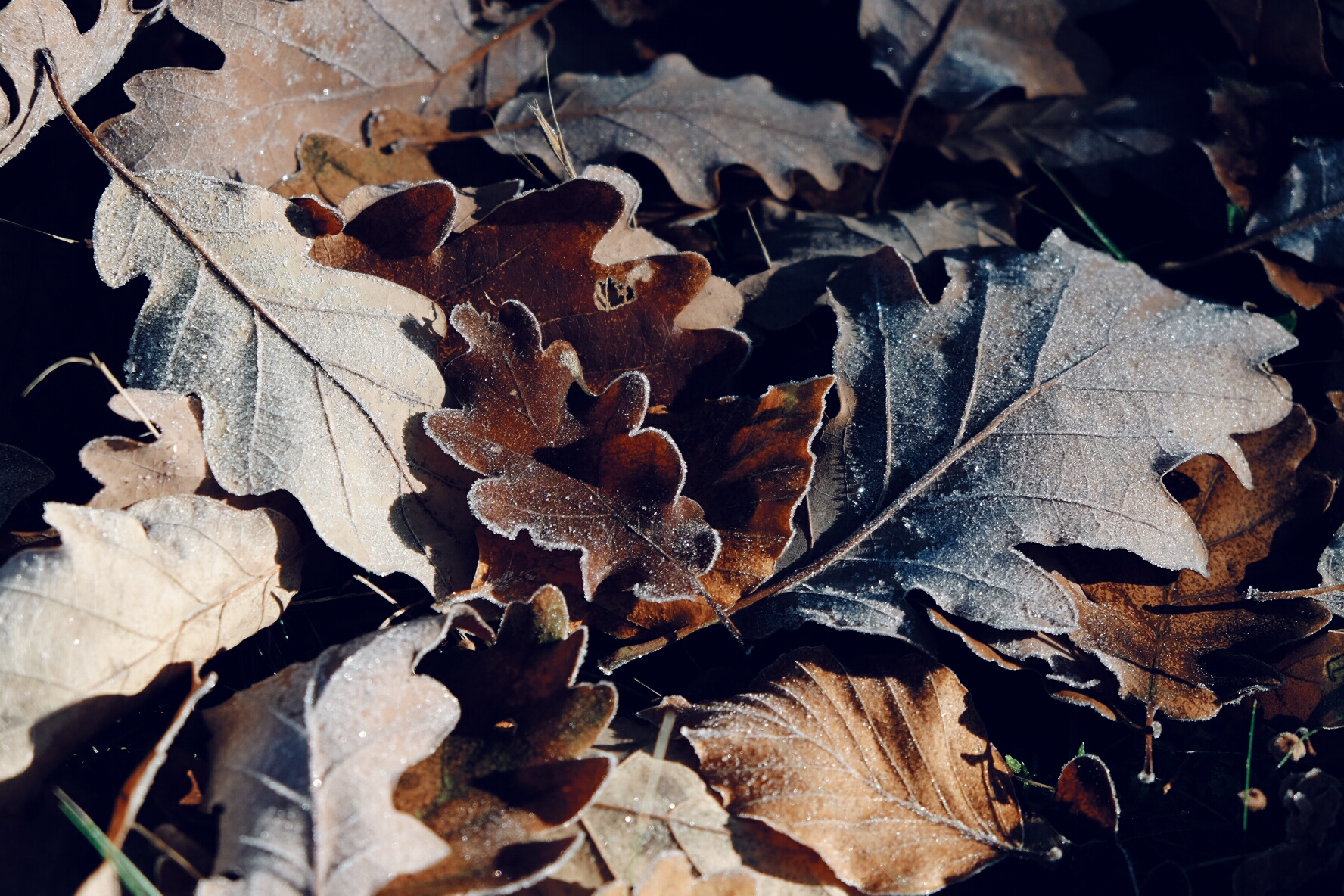 Kulinarische Wanderung zum Gut Temmen · Uckermark