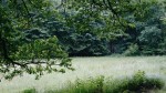 Milch & Moos · Vom Wandern und vom guten Essen · Brandenburg, Berlin