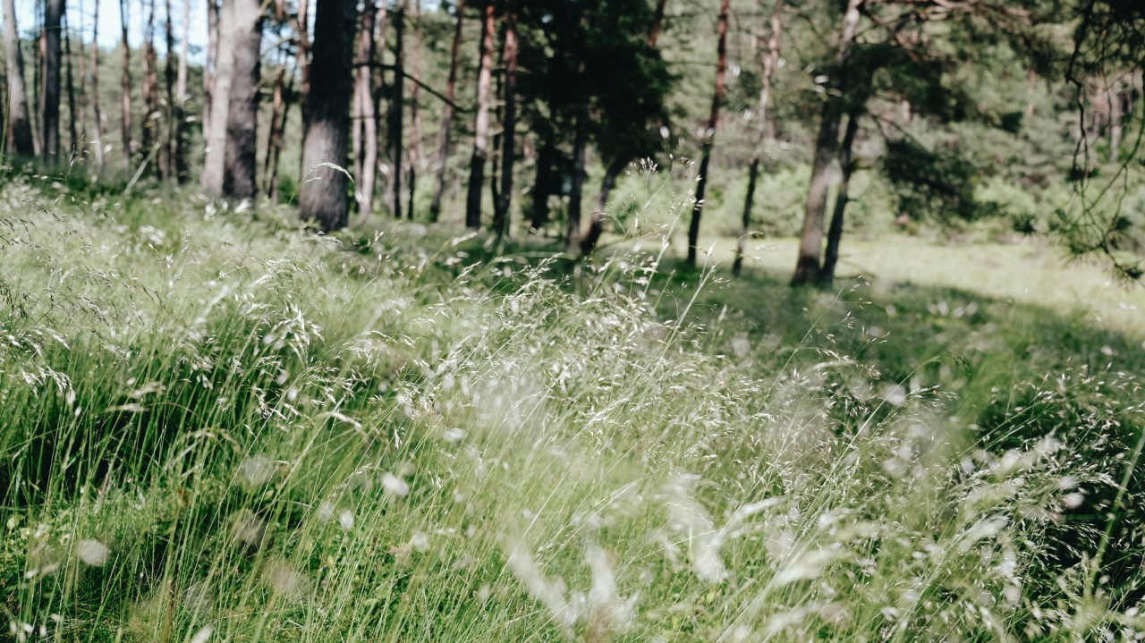 Milch & Moos · Vom Wandern und vom guten Essen