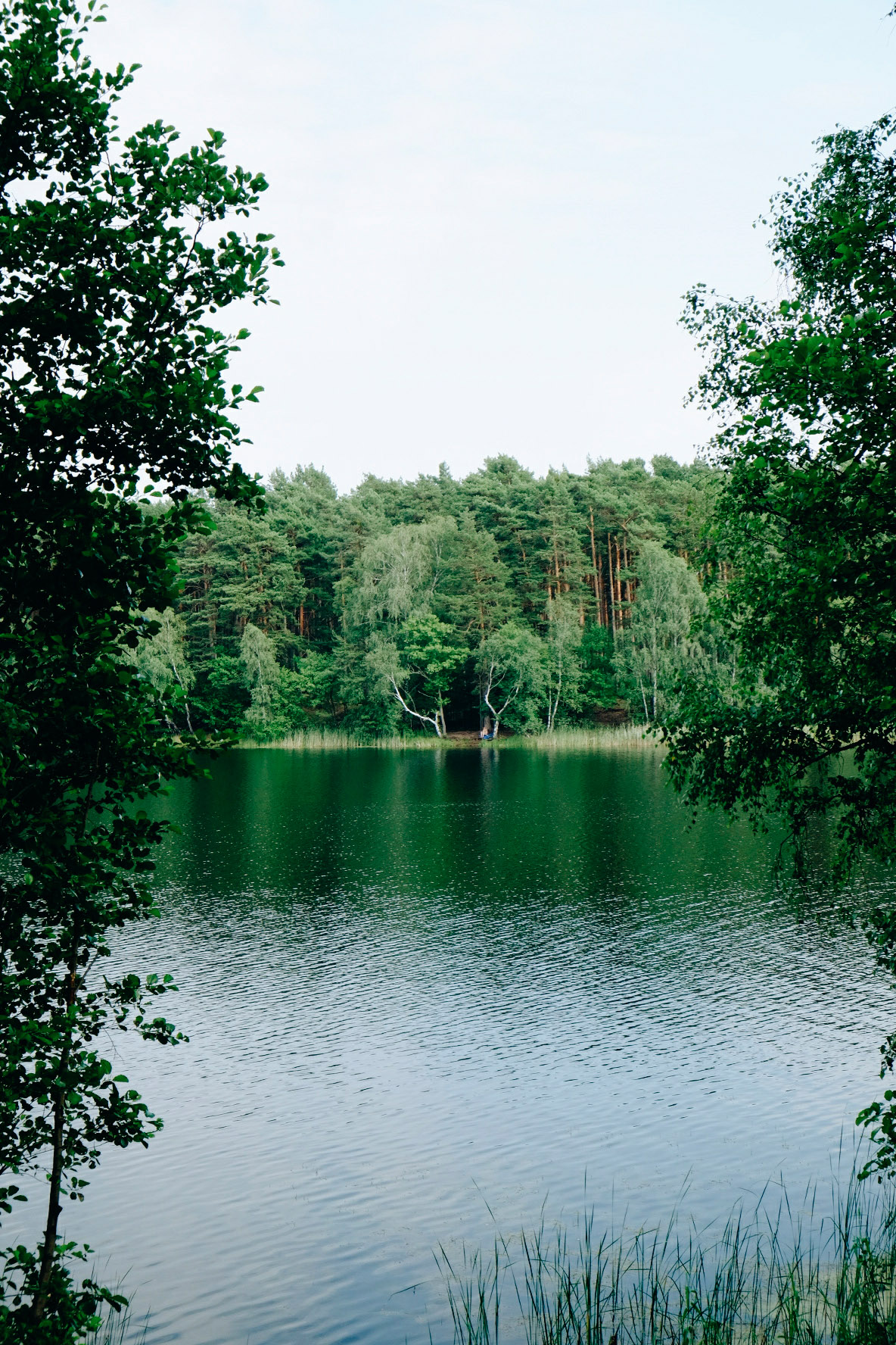 Milch & Moos · Vom Wandern und vom guten Essen · Brandenburg, Berlin